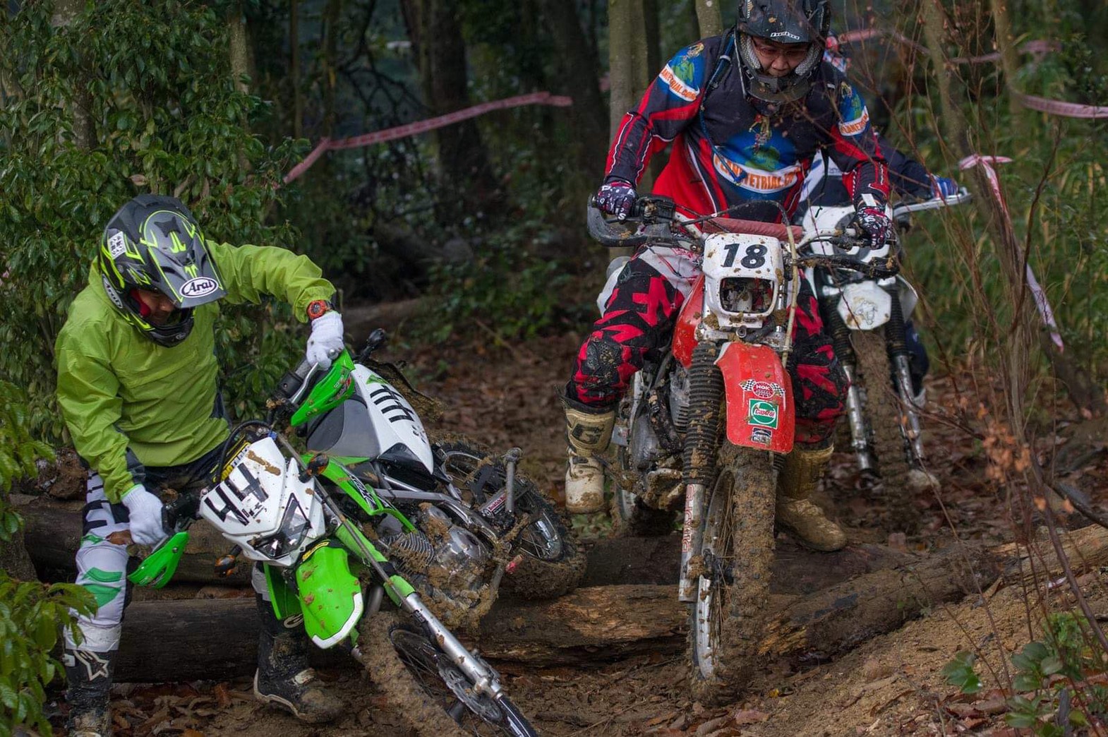 フォトギャラリー - Motoline