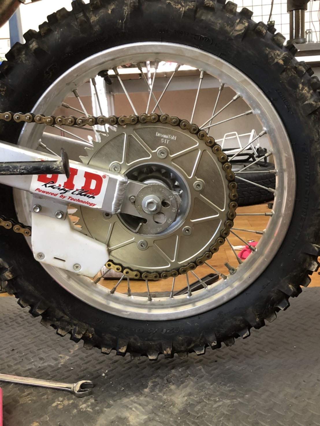 フォトギャラリー - Motoline